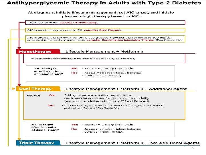 Type 2 Diabetes Mellitus T 2 DM Treatment