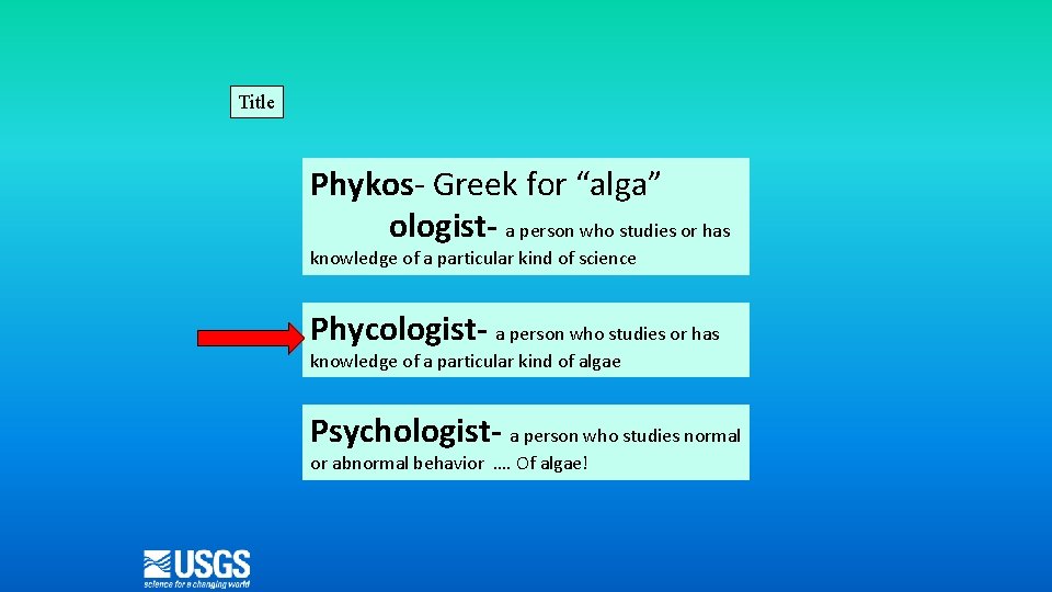 Harmful Algal Blooms Red and Green What Does