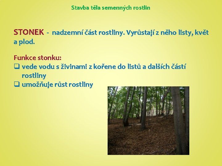 LOVK A JEHO SVT 4 ronk VY52INOVACE23 Stavba