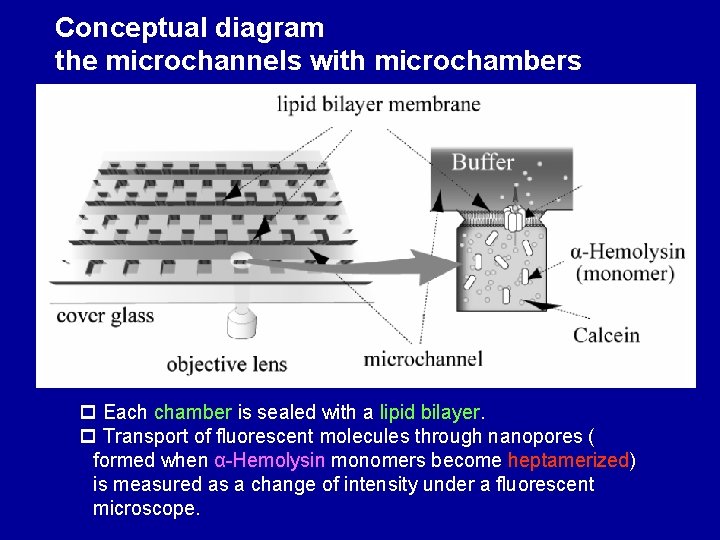 Microfluidic formation of lipid bilayer array for membrane