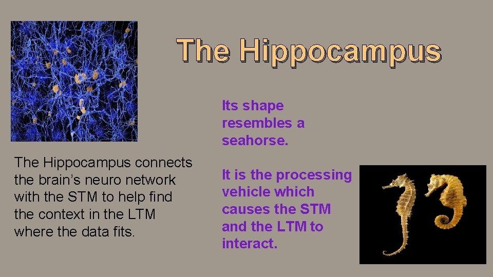 Empowering Students To Construct Their Learning A Path