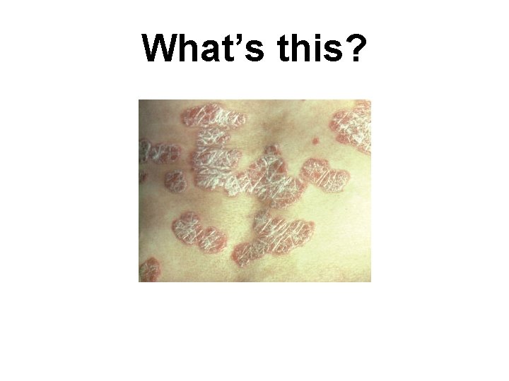 THE SKIN SHOW Aging Dermatology and Disease Module