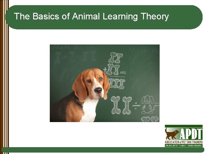 An Introduction to Reward Based Dog Training What