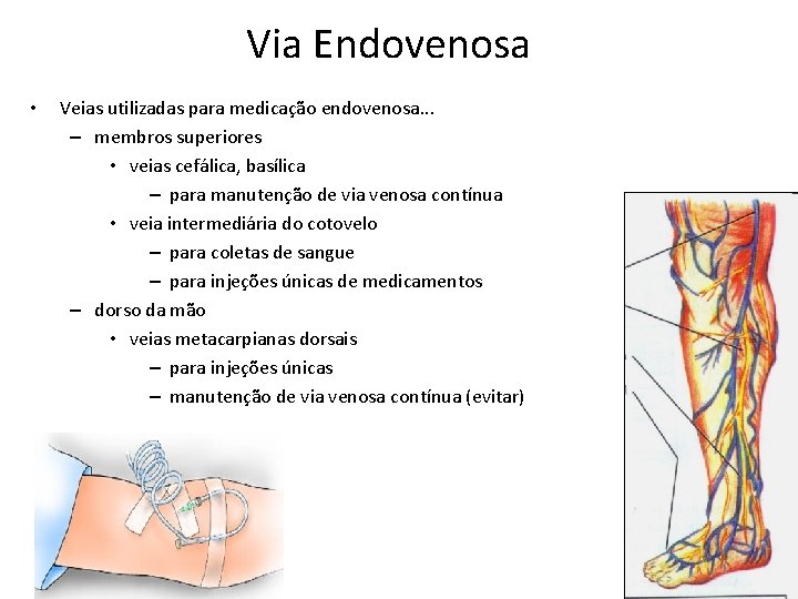 AULA FARMACOLOGIA I Vias de Administrao de Frmacos
