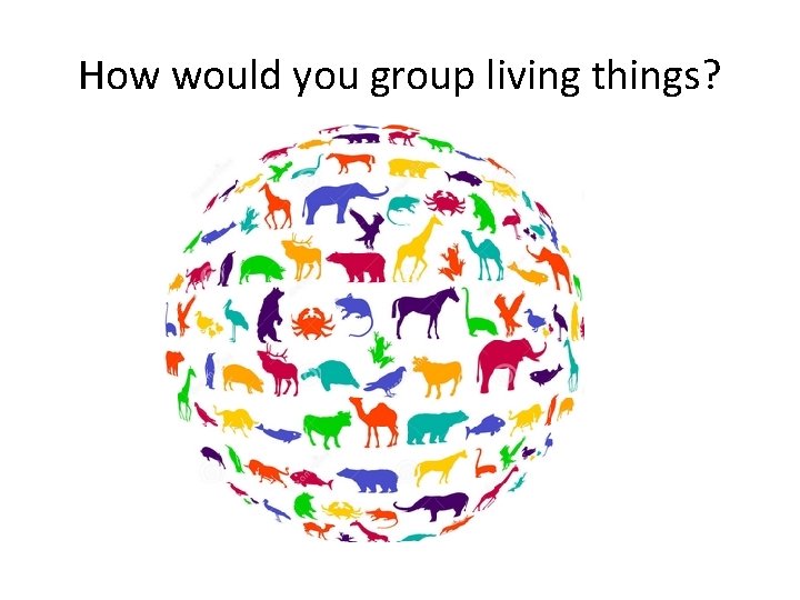 Classification of Living Things How would you group