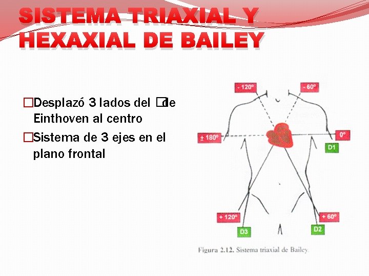 Conceptos generales de electrocardiografa Diana Amrica Chvez Cabrera