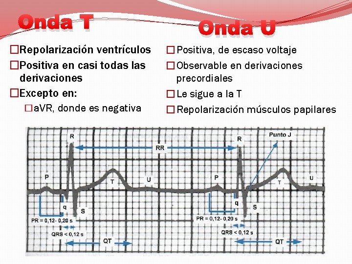 Conceptos generales de electrocardiografa Diana Amrica Chvez Cabrera