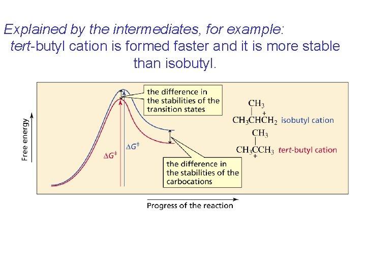 Chapter 4 Reactions of Alkenes Adapted from Profs