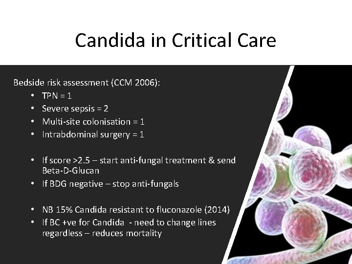 Microbiology in ICU Allison Keegan Critical Care Advanced