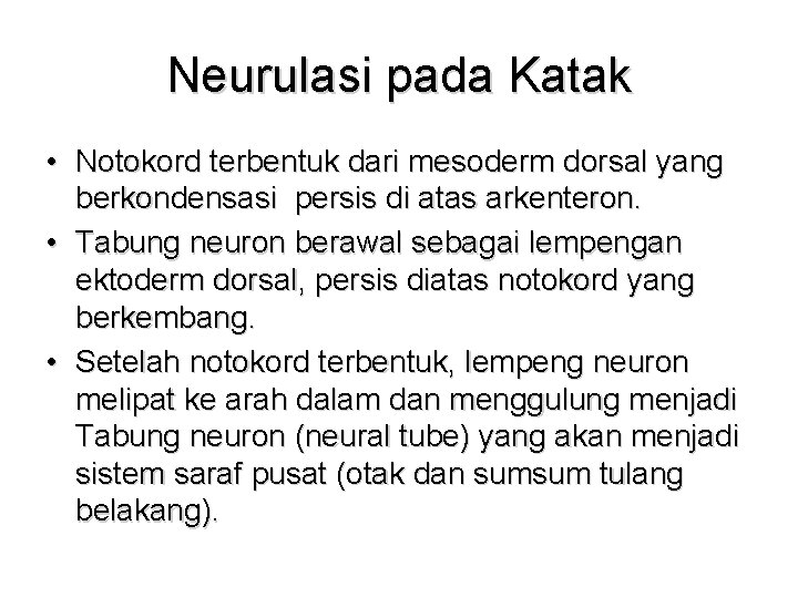 Organogenesis Awal Neurulasi M K Embriologi Hewan Siti