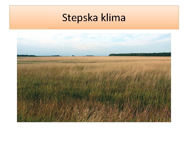 Stepska klima Kakva je stepska klima to je