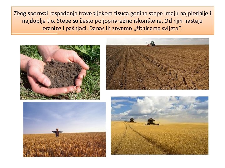 Stepska klima Kakva je stepska klima to je