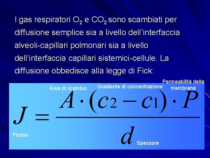 I gas respiratori O 2 e CO 2