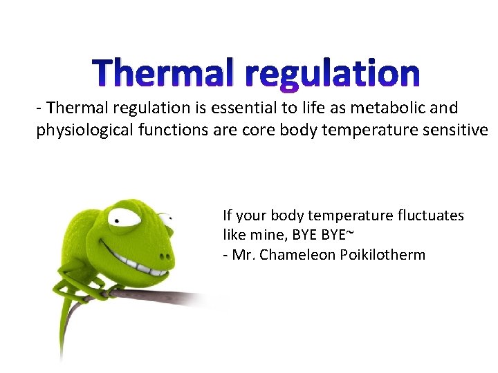 10 th HKG Advanced Firstaid Skills Thermal disorders