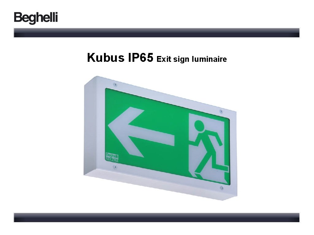 Kubus IP 65 Exit sign luminaire IP 65