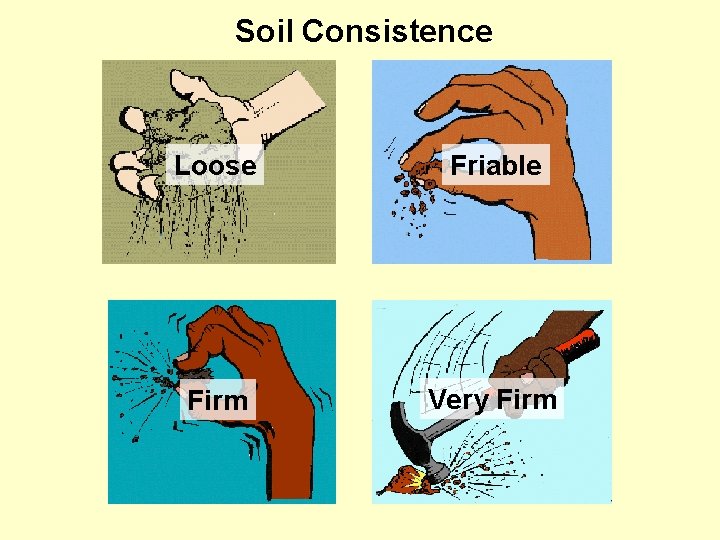 Characteristics that differentiate soil horizons Color Texture Density
