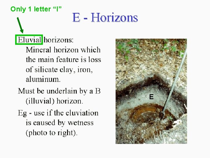 Characteristics that differentiate soil horizons Color Texture Density