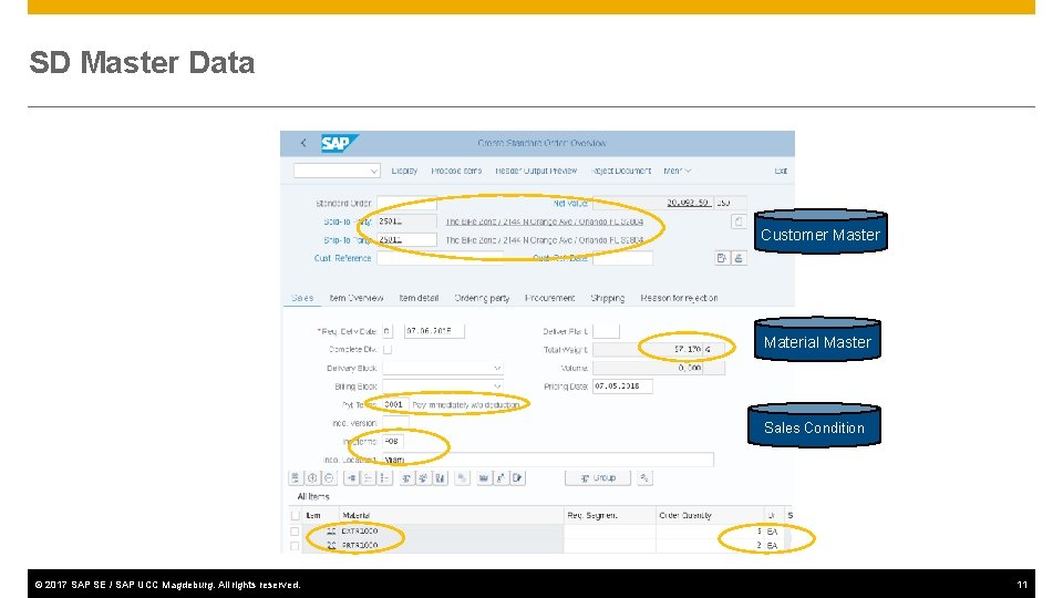 Sales and Distribution SD Curriculum Introduction to S4