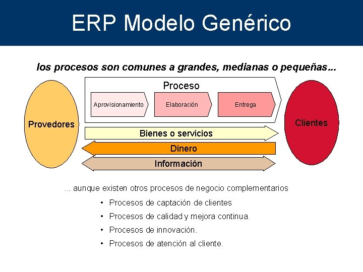 Sistemas de Informacin ERP MBA Luis Elissondo Tipos