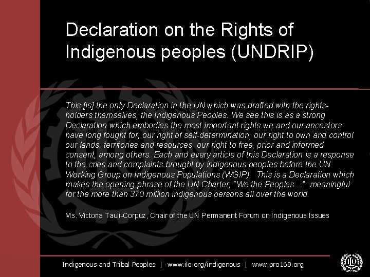Declaration on the Rights of Indigenous peoples UNDRIP