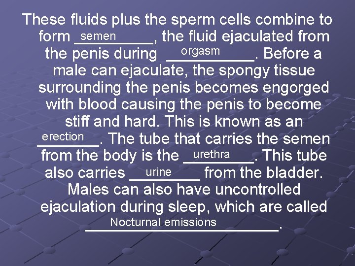 Reproductive System What is the purpose of the