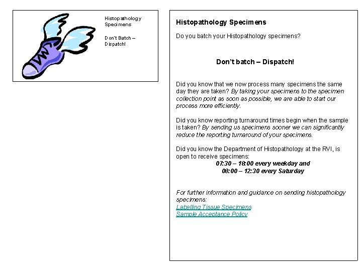Histopathology Specimens Are you using the current histopathology
