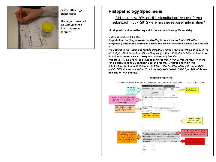 Histopathology Specimens Are you using the current histopathology
