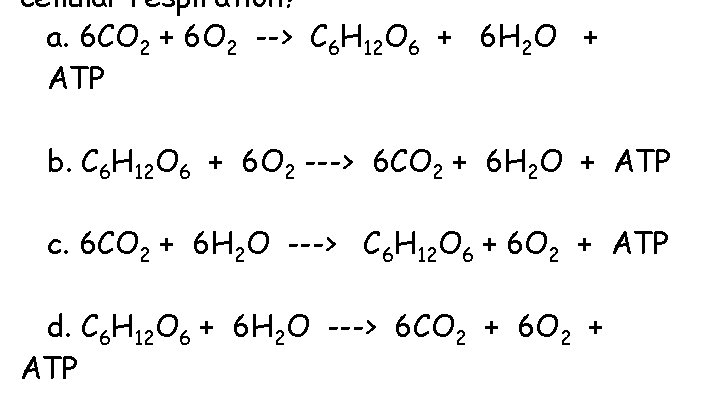 Day 1 Exit Ticket Photosynthesis 1 Which organelle
