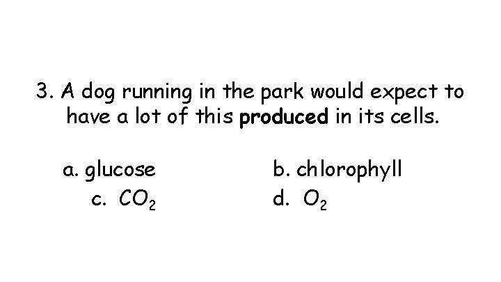 Day 1 Exit Ticket Photosynthesis 1 Which organelle