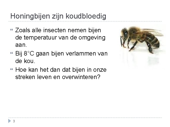De warmtehuishouding van een bijenvolk BDwinterconferentie WIDAR Merksplas