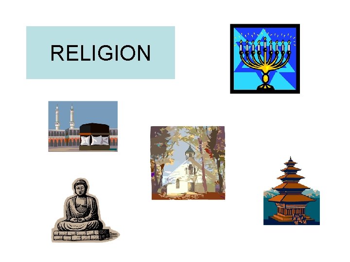 RELIGION RELIGIOUS ORGANISATIONS CHURCH A conventional religious ...