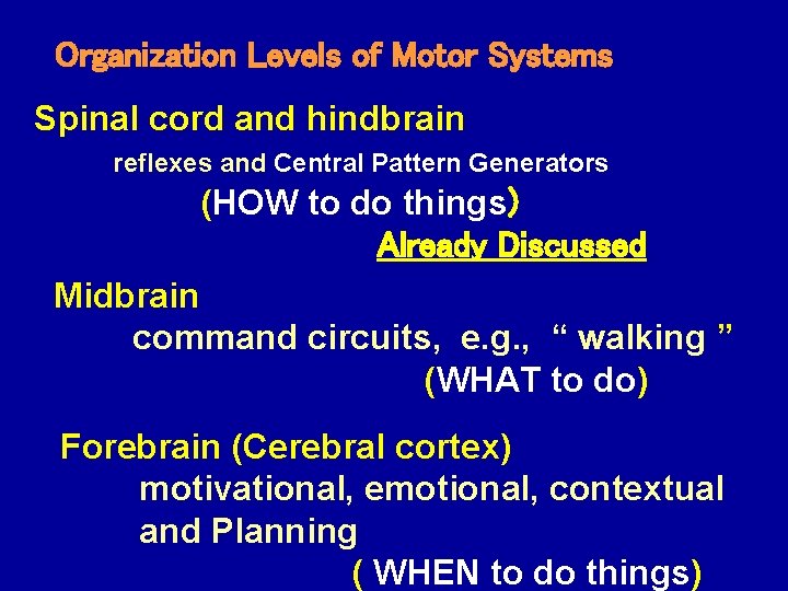 Organization Levels of Motor Systems Spinal cord and