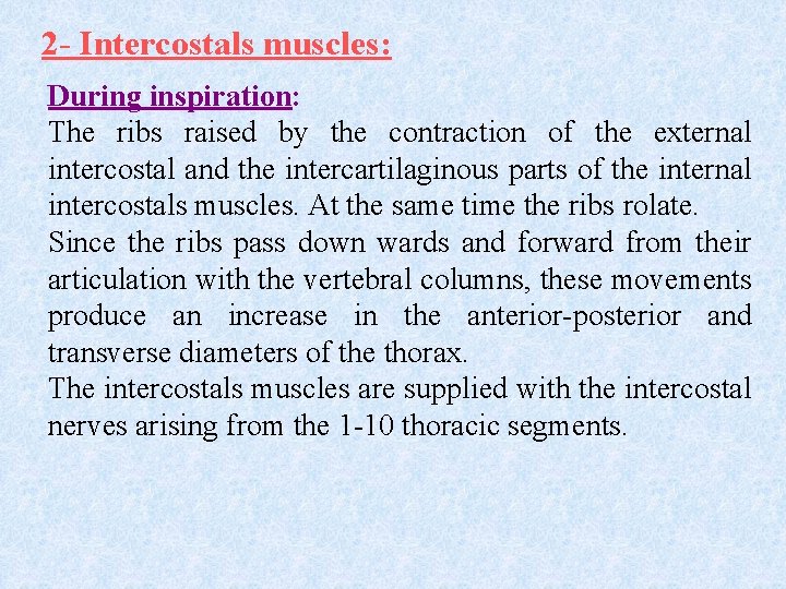 Mechanism of respiration The movement of air into