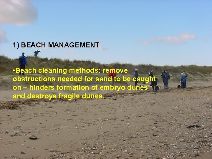 Factors Affecting Sand Dune Ecosystems 1 BEACH MANAGEMENT