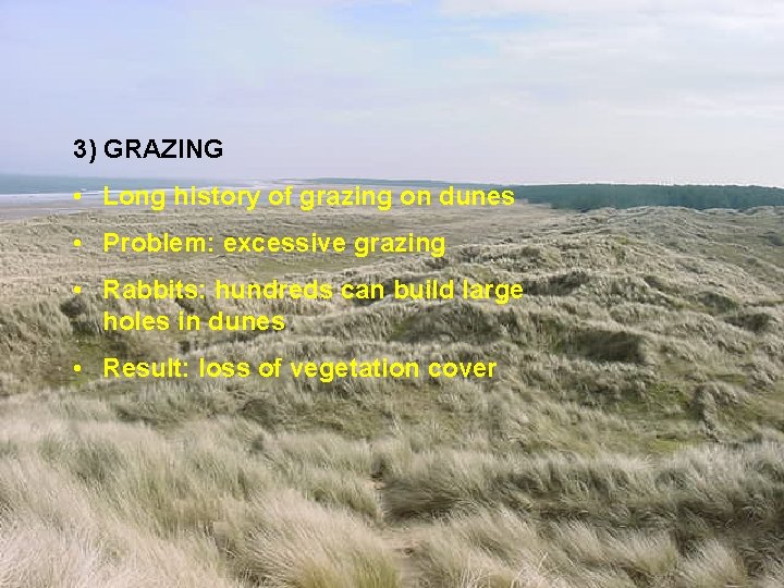 Factors Affecting Sand Dune Ecosystems 1 BEACH MANAGEMENT