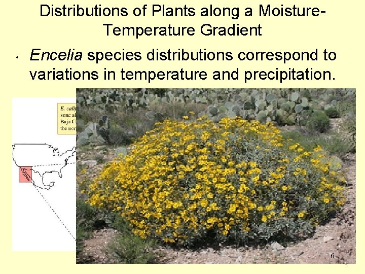 Population Distribution and Abundance Chapter 9 Introduction Ecologists