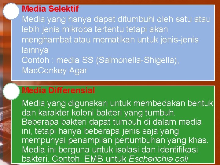 MEDIA PERTUMBUHAN BAKTERI Vector Stephen Dewangga M Si