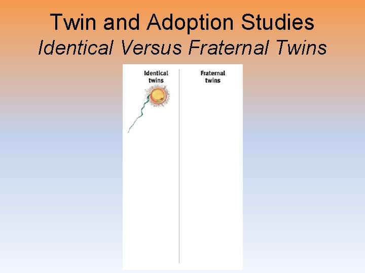 Unit 3 C Biological Bases of Behavior Genetics