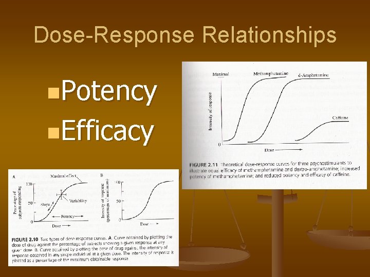 Principles of Pharmacology Pharmacokinetics Pharmacodynamics ...