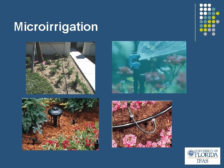 Irrigation Savings Tips for Water Conservation Melissa Baum