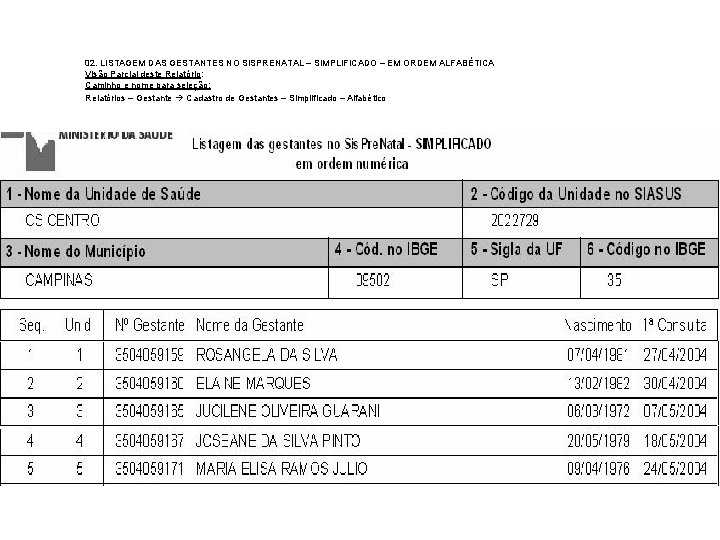 Importncia do SISPRENATAL e interpretao do relatrio Neide
