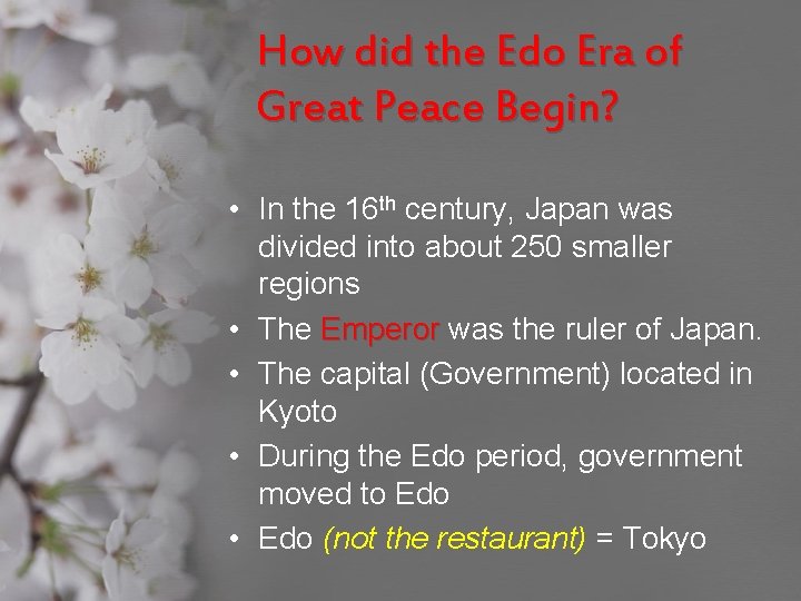 Japan How did the Edo Era of Great