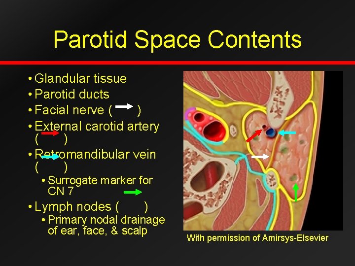 Multimodality Imaging Overview of Common and Uncommon Solid