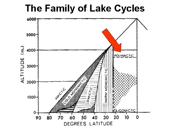 Early Limnology Temperature Profiles Lake Zones are dynamic