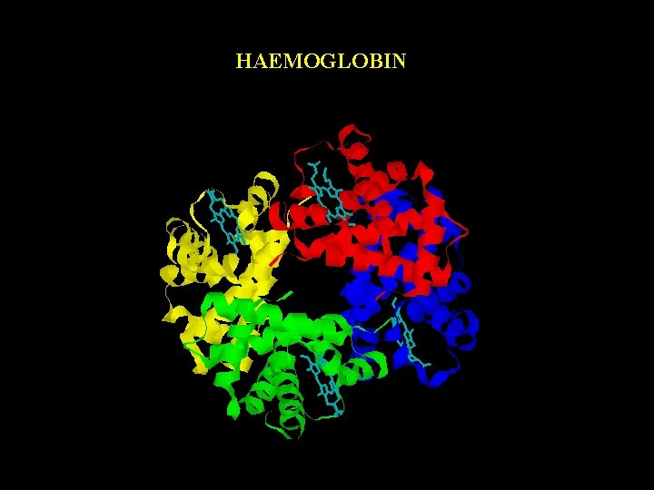 CLINICAL ASPECTS OF BIOCHEMISTRY PROTEINS AND DISEASE HAEMOGLOBIN