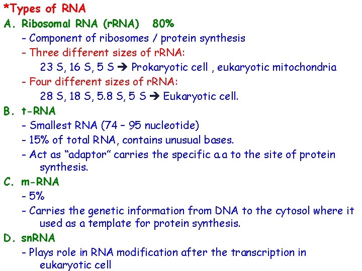 DNA Transcription DNA specify all kinds of proteins