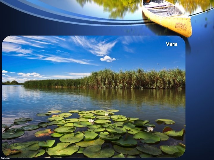 Delta Dunrii Rezervaie a biosferei Prezentare clasa aVIIIa