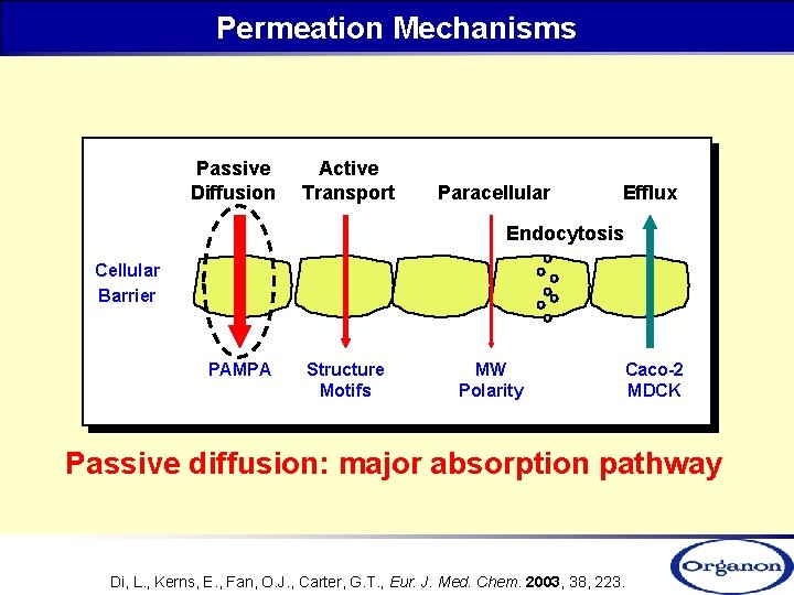 Permeability transporting drugs through lipid membranes Paula Garcia