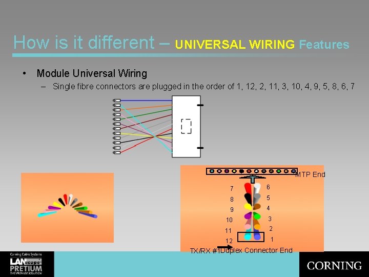 How is it different UNIVERSAL SYSTEM Plug and