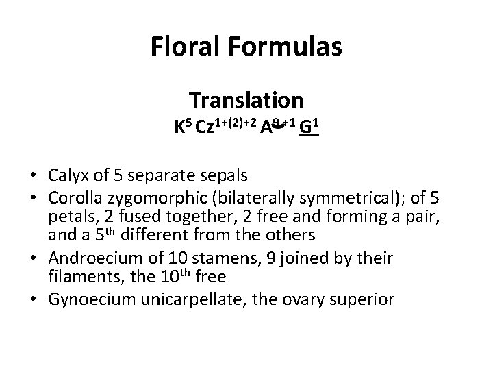 Floral Formulas A Cool Way to Look at